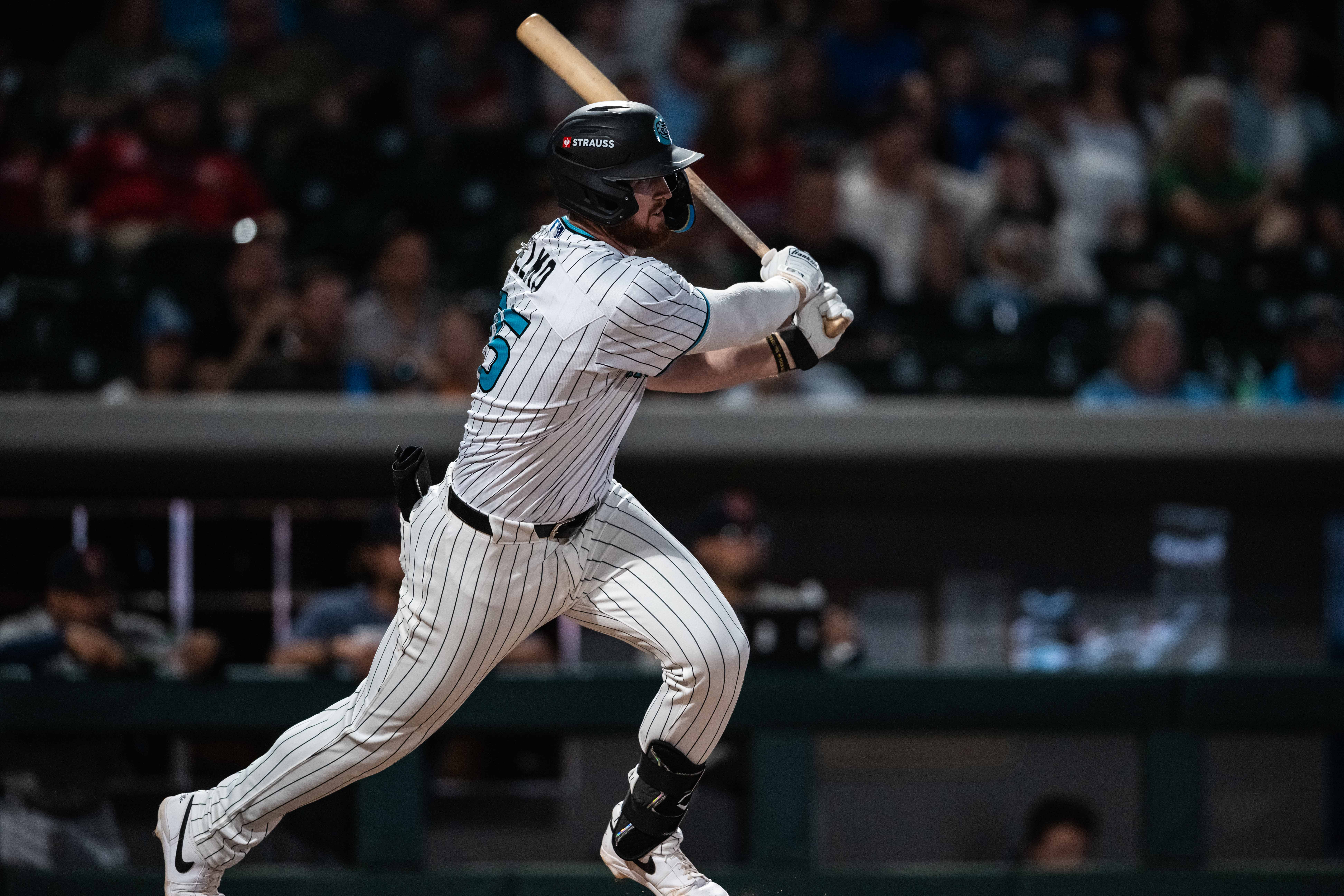 White Sox prospects Tim Elko and Grant Taylor discuss their award ...