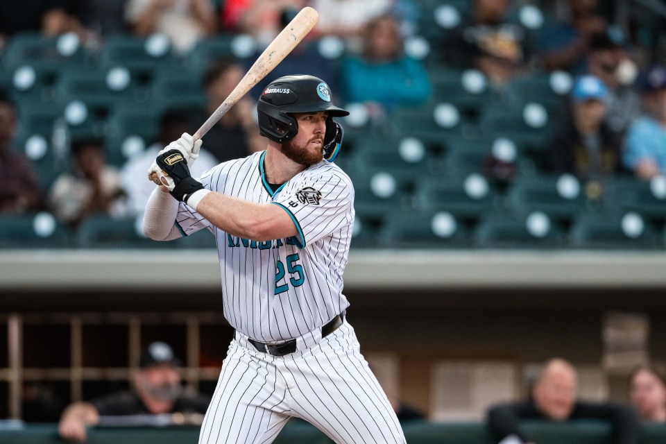 Tim Elko doesn't need to set the world on fire to be worth a shot - Sox ...